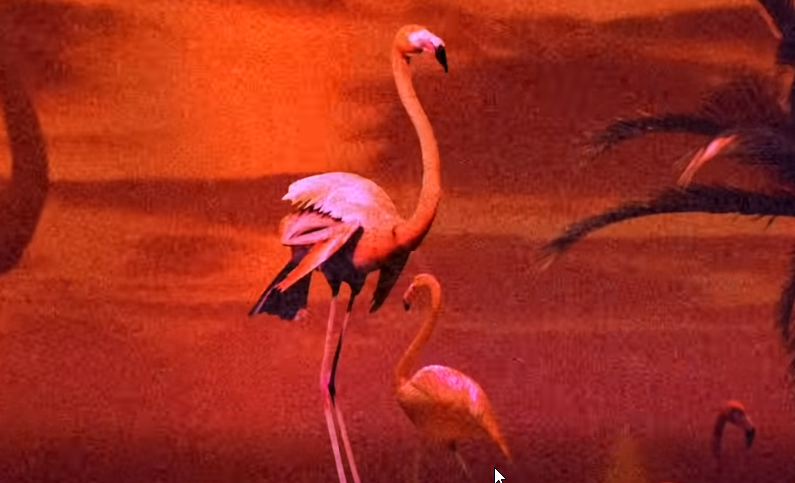 Obsessed – Calvin Harris feat Charlie Puth e Shenseea – Músicas Mais ...